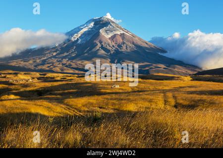 At 5897 m, Cotopaxi is the second highest mountain in Ecuador and one ...