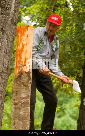 Springboard chop, Linn County Loggers' Jamboree, Linn County Pioneer ...