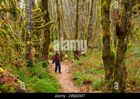 Plunkett Creek Loop Trail, Beazell Memorial Forest County Park, Benton ...