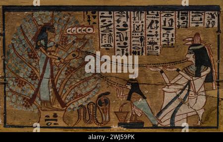 An ancient Egyptian papyrus, a symbol of historical significance at the ...