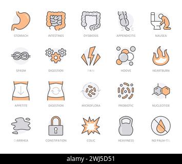 Illustration of appendicitis symptoms and abdominal pain Stock Vector ...