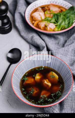 Bowl of tasty dumpling soup and green onion on color background Stock ...