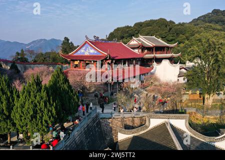 Tourists admire blooming plum blossoms in Youyang Tujia and Miao ...