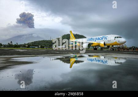 Philippine, Philippine Airlines, Manila, Cebu, Airbus, A340, Aircraft ...