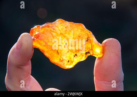Agate from Willamette River, Willamette Mission State Park, Oregon ...