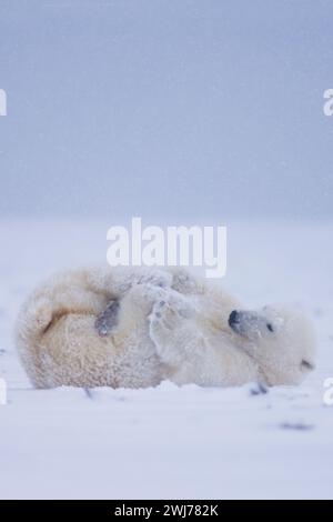 Young mother rolls baby on swing and kisses him. Tenderness and ...