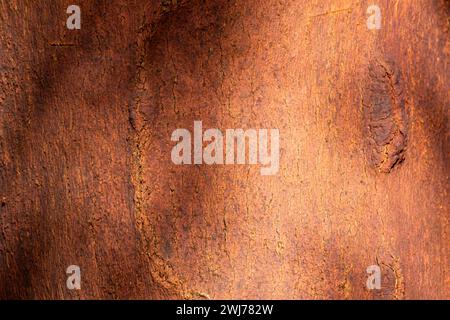 Red oak background, texture series Stock Photo - Alamy