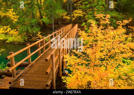 Clear Lake, McKenzie Pass-Santiam Pass National Scenic Byway ...