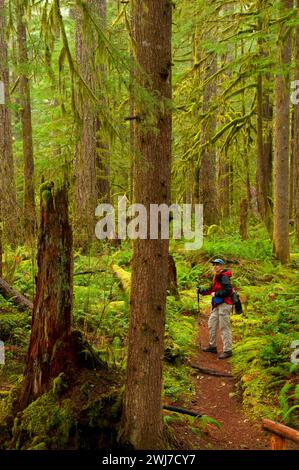 Little North Fork Santiam River Trail, Opal Creek Scenic Recreation ...