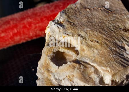 A specimen of white marble-like limestone with a brachiopod. Lower ...