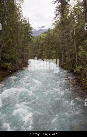 Robson River is running towered by the highest mountain of the Canadian ...