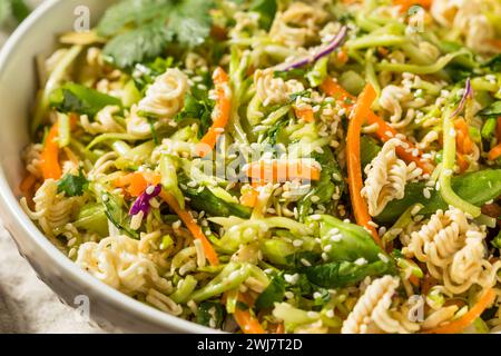 Raw Organic Asian Crunchy Ramen Salad with Cabbage and Cilantro Stock ...