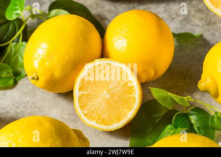 Organic Raw Yellow Seedless Lemons in a Bunch Stock Photo - Alamy
