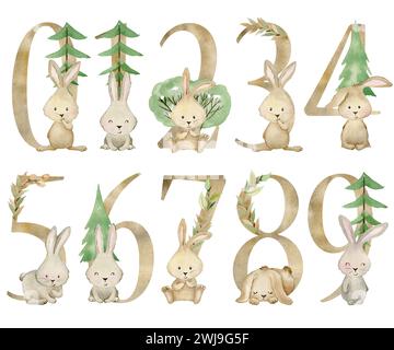 Watercolor woodland animals numbers for invitation card, nursery poster ...