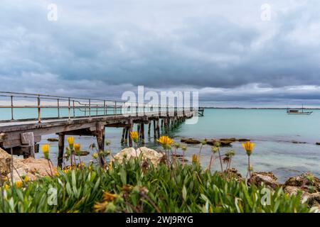 The Robe Jetty in South Australia Stock Photo - Alamy