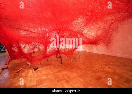 Absence Embodied, giant interwoven installation of intricately woven ...