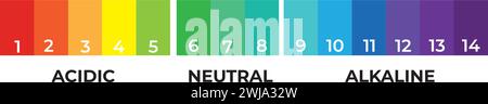 pH scale indicator chart diagram acidic alkaline measure. pH analysis vector chemical scale ...