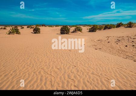 Scenic view of Mambrui Sand dunes in Mambrui Beach in Malindi, Kenya ...