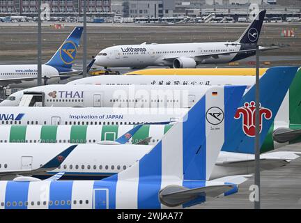 14 February 2024, Hesse, Frankfurt/Main: A Lufthansa passenger plane ...