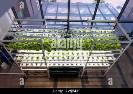 Vertical multi-level indoor hydroponic vegetable farming with led ...