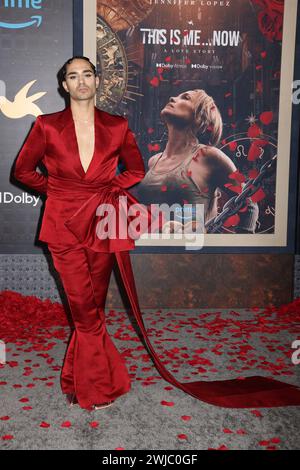 Brandon Delsid 02/13/2024 The Los Angeles Premiere of "This is Me…Now ...
