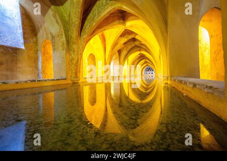 Golden Reflections: The Baths of María de Padilla in Seville’s Alcazar ...