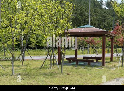 Table in a pavilion surrounded by trees Stock Photo - Alamy