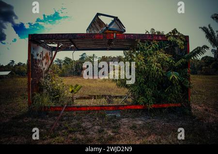Nature taking back an old container Stock Photo - Alamy