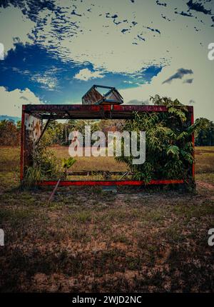 Nature taking back an old container Stock Photo - Alamy