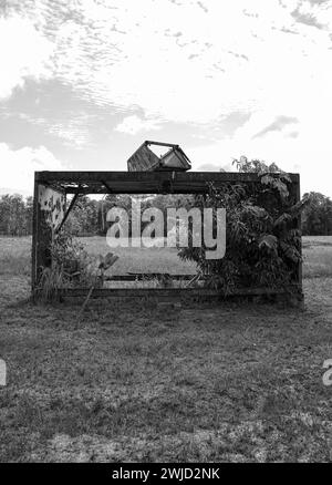 Nature taking back an old container Stock Photo - Alamy