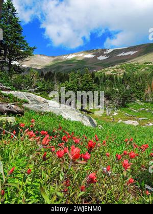 Fire on a high altitude prairie in the mountains of the Gran Sasso and ...