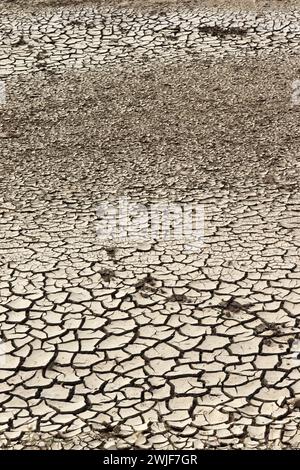 crack on dry land caused by drought Stock Photo - Alamy