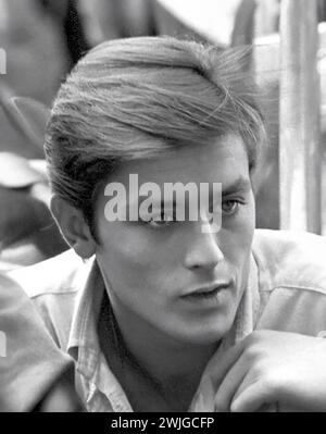 Portrait of the French actor, Alain Delon (b. 1935), 1961 Stock Photo ...