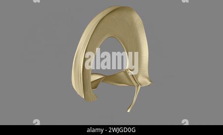 The falx cerebri and tentorium cerebelli are thin dural structures ...