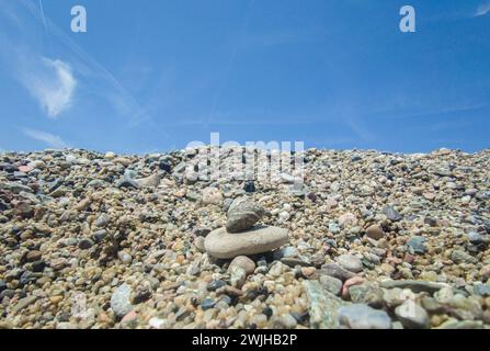 Small mediterranean sea snail, known as Steromphala divaricata. Placed ...