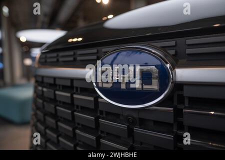 BYD logo on front of car Stock Photo - Alamy