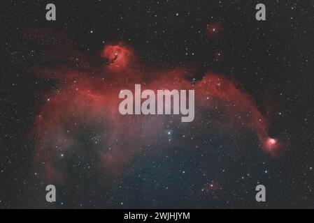 IC2177, The Seagull nebula in constellation Monoceros Stock Photo - Alamy