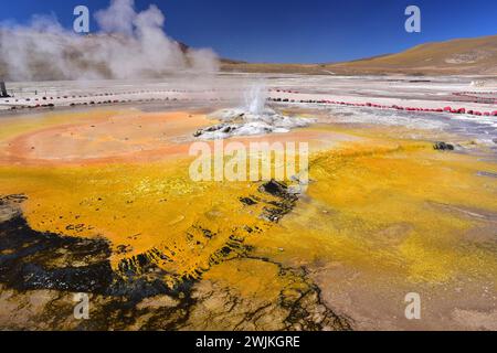 Extremophile archaea and cyanobacteria on a hydrothermal water in Tatio ...