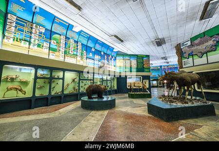 An overview look at the gallery, display, exhibit space with large flow ...