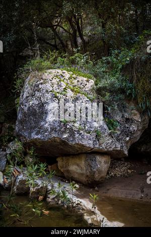 The mouth of the Oren stream on Mount Carmel in Israel with natural ...