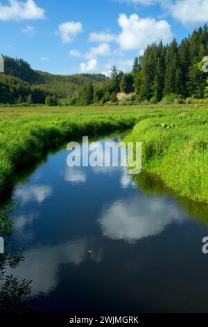 Beaver Creek along Beaver Creek Loop Trail, Brian Booth State Park ...