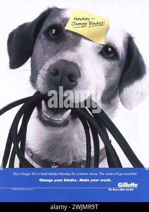 Vintage "Playboy" Magazine June 2004 Issue Cover, USA Stock Photo - Alamy