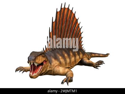 3D rendering of a dinosaur Dimetrodon isolated on white background ...