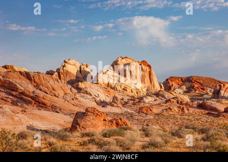 Desert plants and colorful eroded Aztec sandstone formations in Valley ...