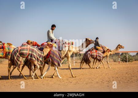 Desert landscape with Al Digdaga village in Ras al Khaimah, UAE, golden ...