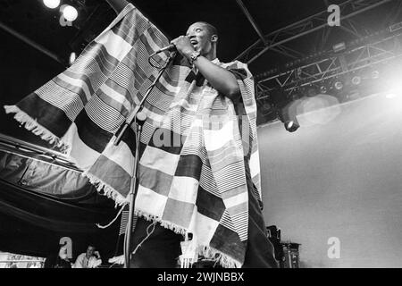Afro Celt Sound System playing a giant Kora Instrument at Cardiff Big ...