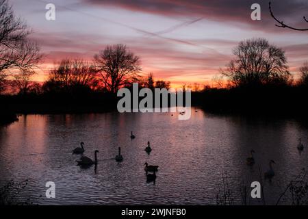 Backwell Lake at Sunset Stock Photo - Alamy
