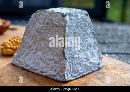 Cheese collection, French Valencay with black mold pyramid cheese made ...