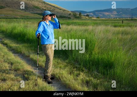 Birding, Ladd Marsh Wildlife Area, Oregon Stock Photo - Alamy