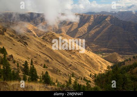 Camp Creek Canyon from Canyon Vista Trail, Zumwalt Prairie Preserve ...